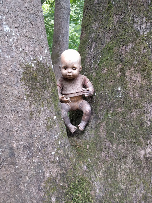 Polite People Don’t Pee on Trees – Coffee, Run, Repeat